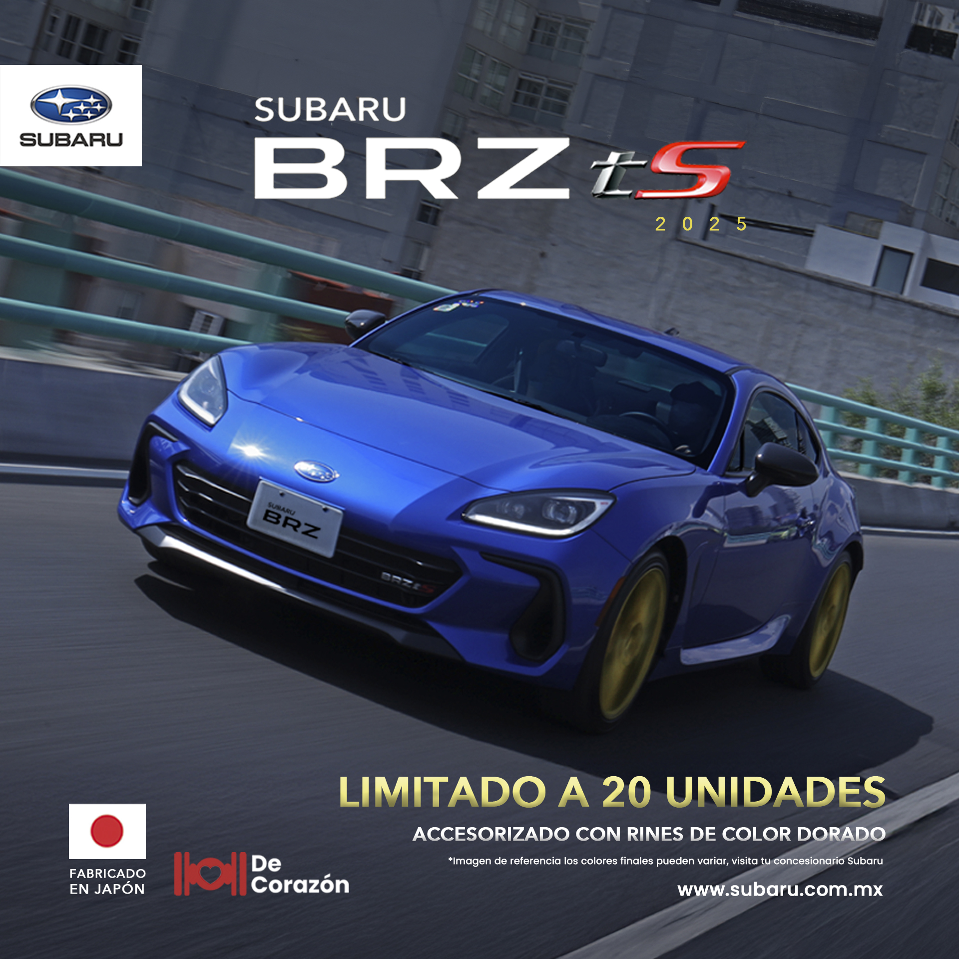 Distribuidor Autorizado, Subaru Los Cabos